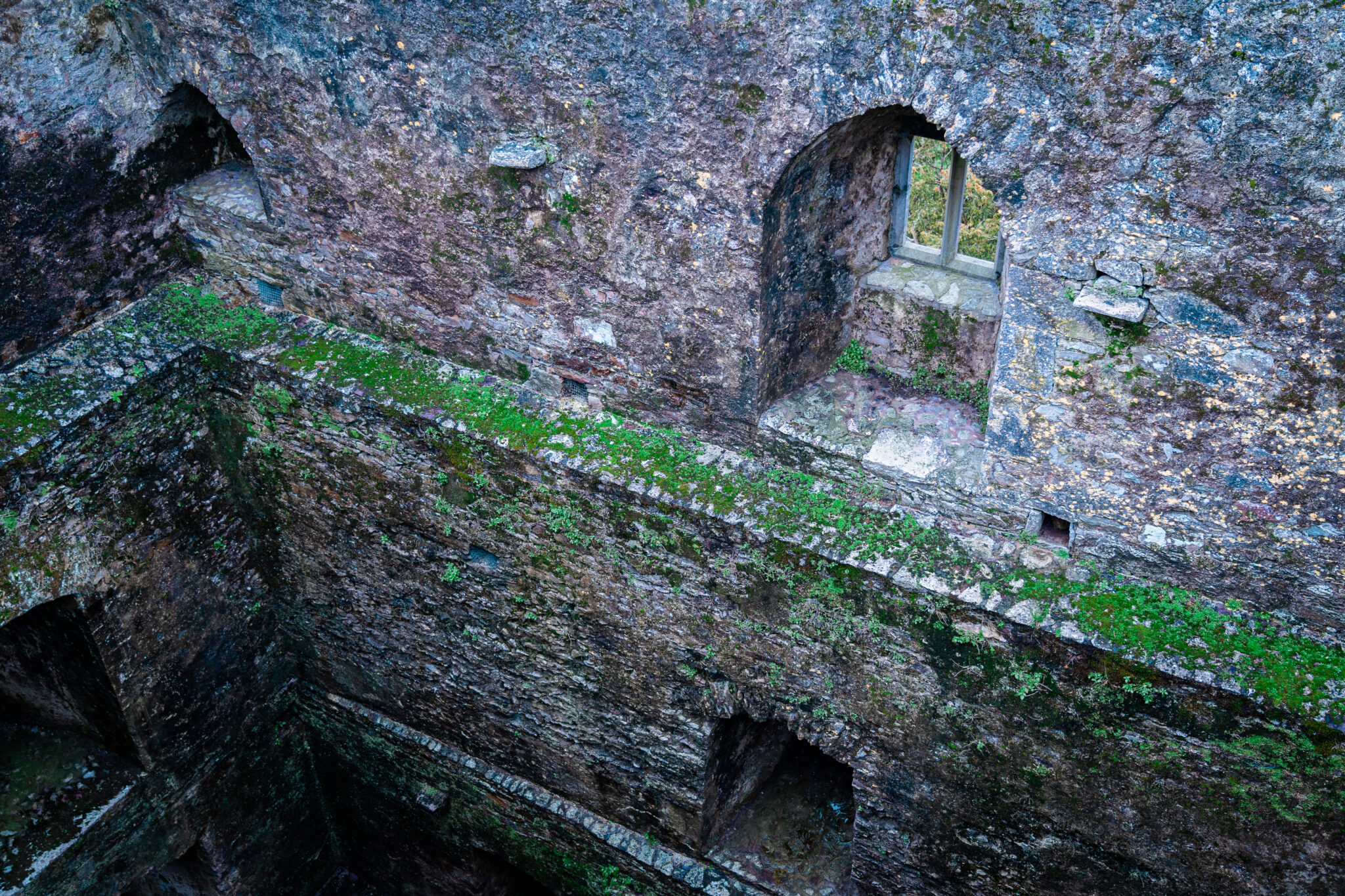 The mysterious Blarney Castle: myths, legends, and the power of ...